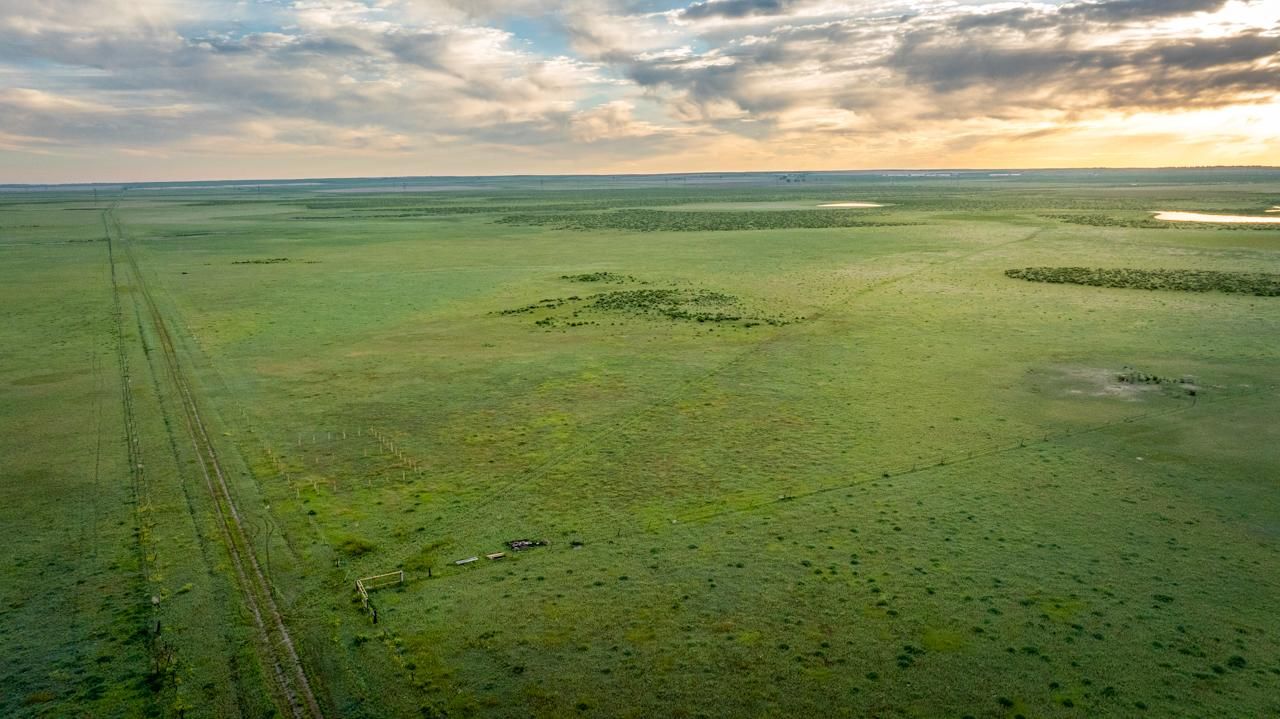 David Rd, Broadview, MT 59015 | MLS: 352093 | Land and Farm