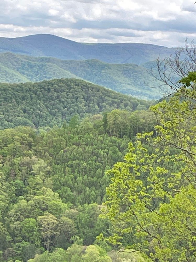 Rt 41 Mill St, Mill Creek, WV 26280 | Land and Farm