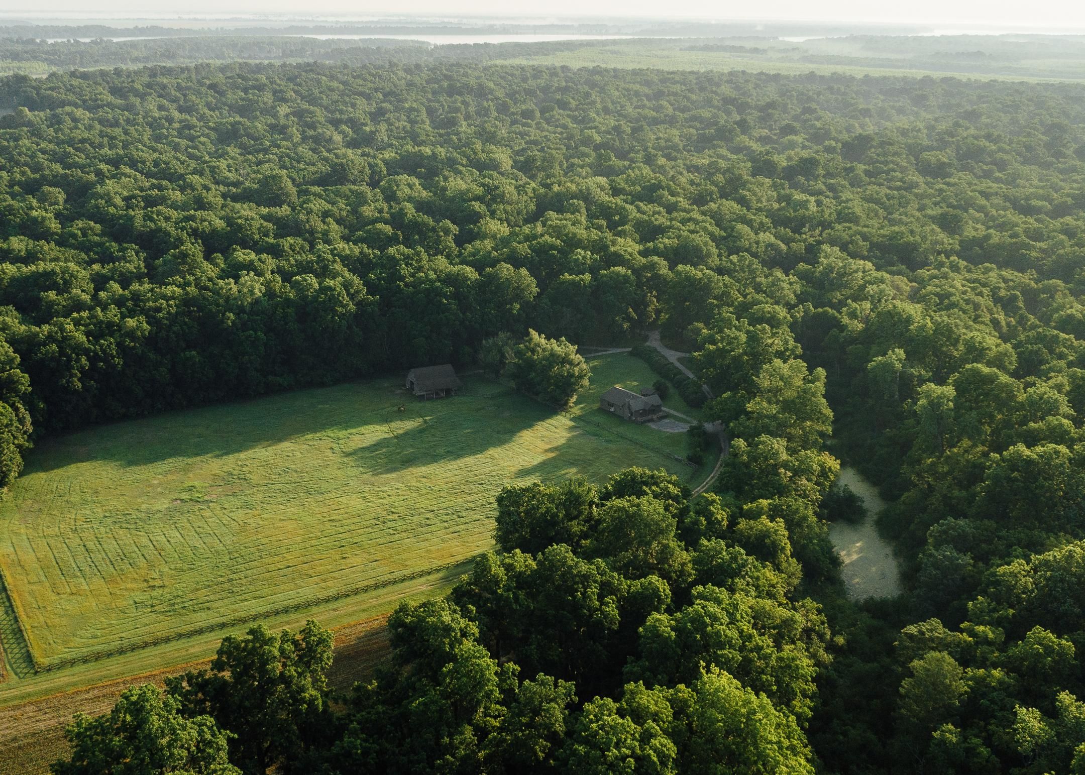 Concordia Drive, Gunnison, MS 38746 | Land and Farm