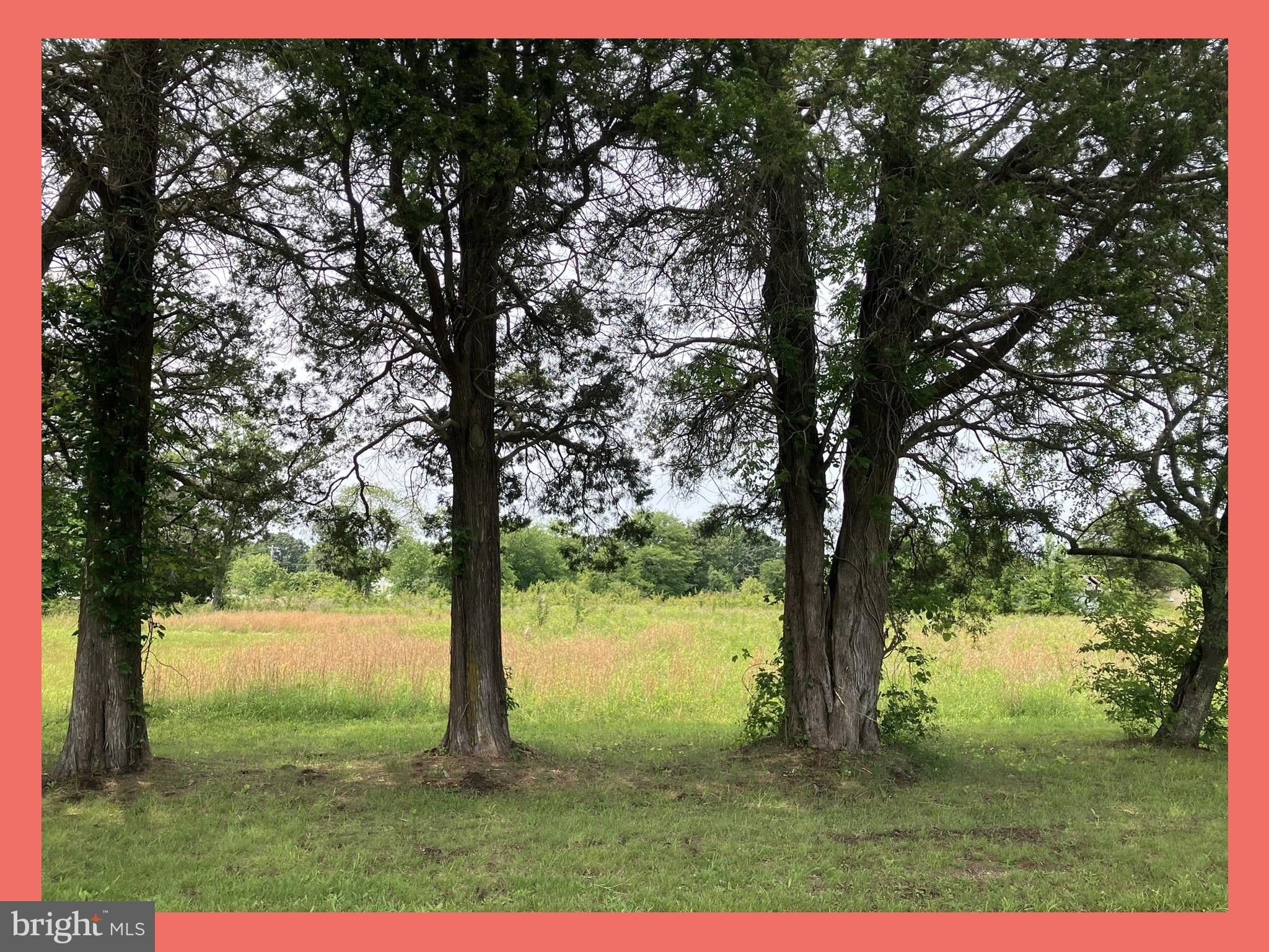 LONGVIEW BOULEVARD, Bushwood, MD 20618 | MLS: MDSM2025626 | Land and Farm