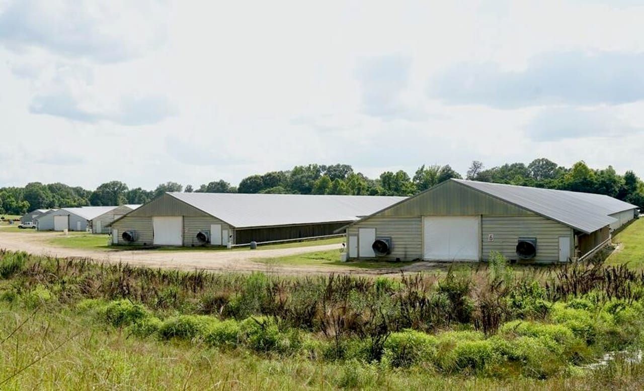 6390 McBride Road, Pattison, MS 39144 | MLS: 144733 | Land and Farm