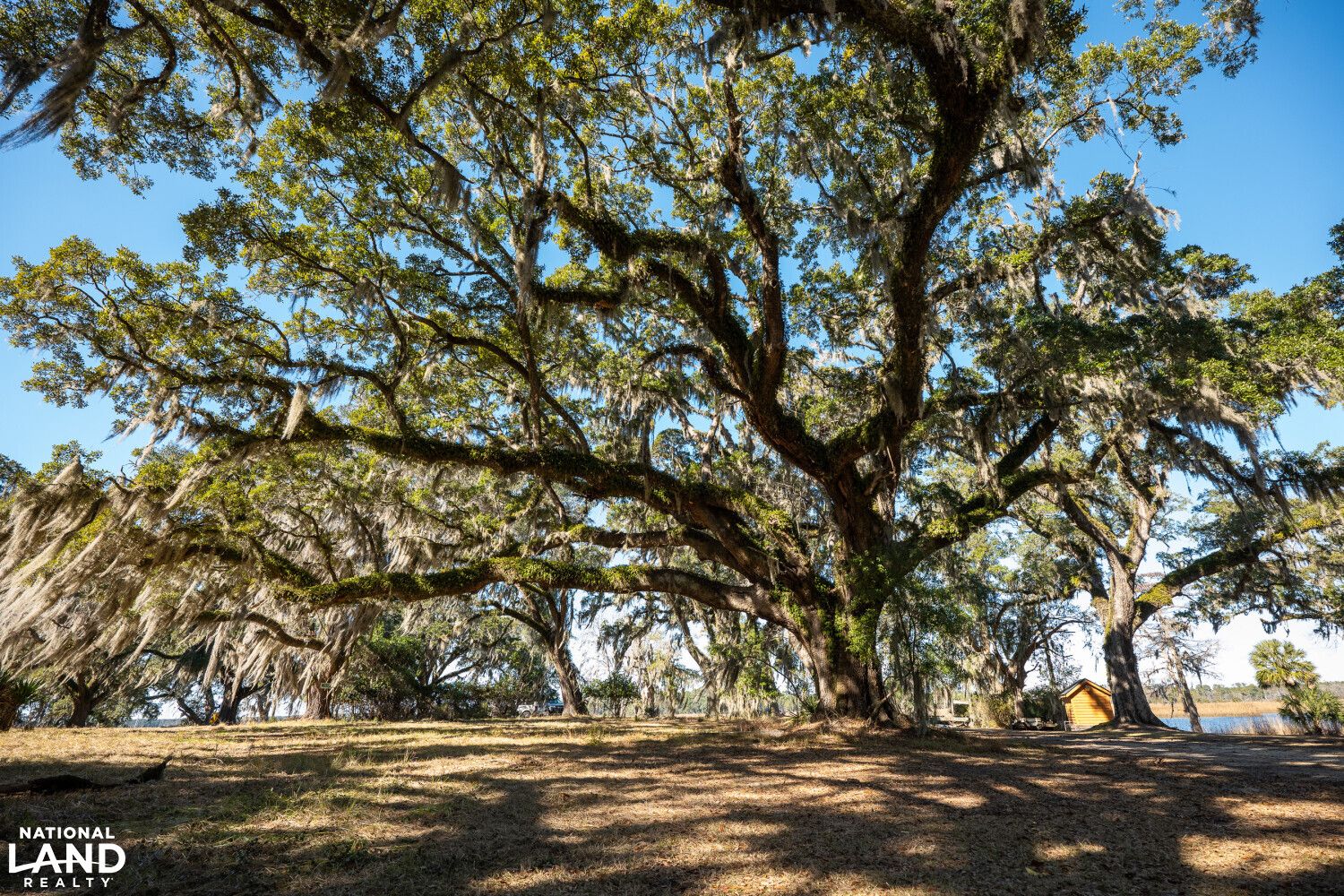 1939 Mouresina Road Georgetown, SC 29440, Georgetown, SC 29440 | Land ...