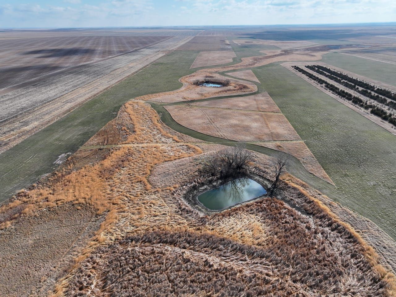 TBD 248th, Presho, SD 57568 | Land and Farm