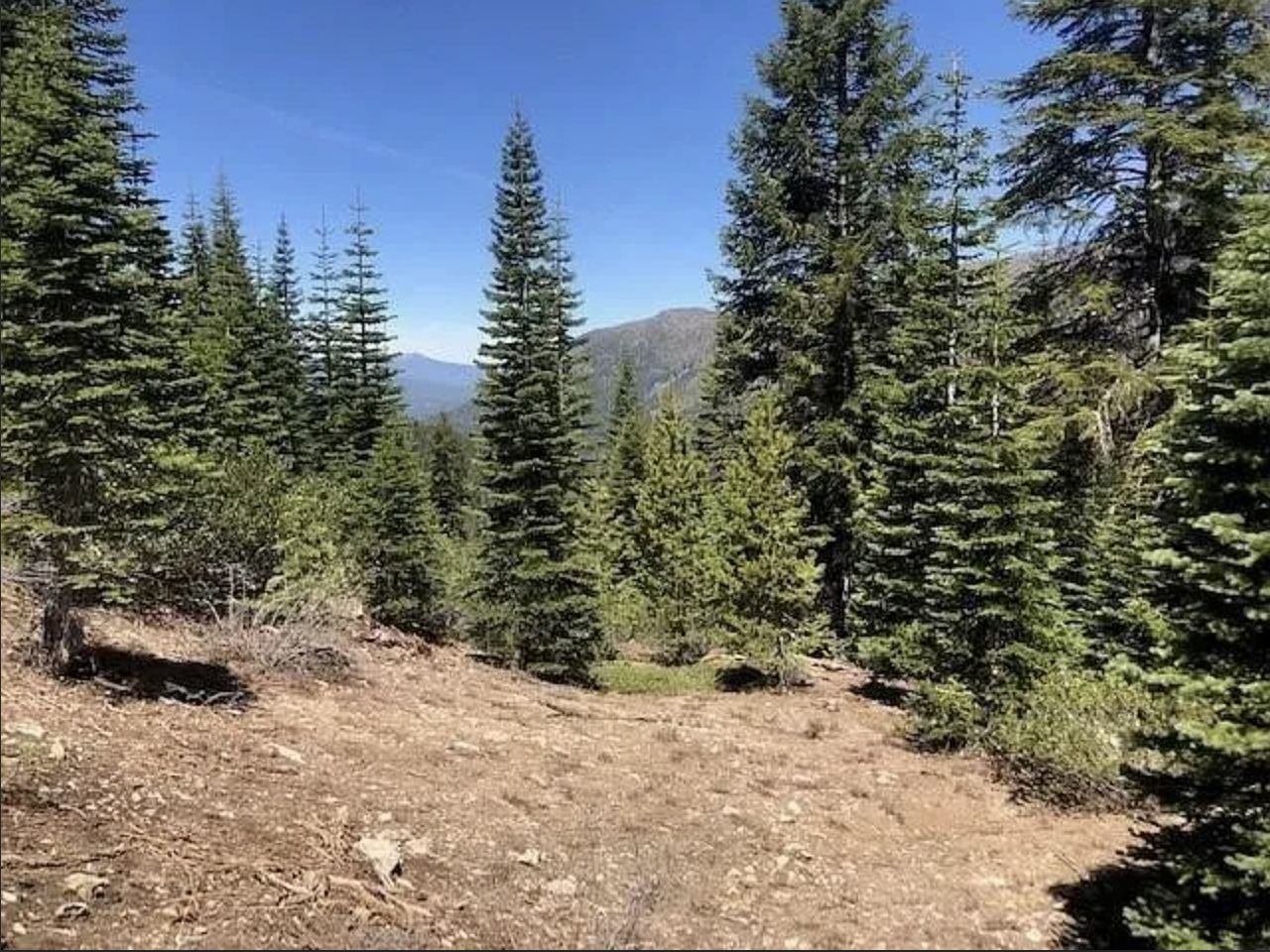 41 acres in Macdoel, CA, 96058 | Land and Farm