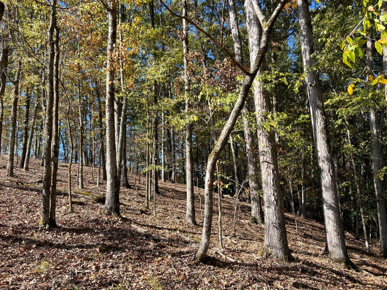 Ruckersville Road, Elberton, GA 30635 | Land and Farm