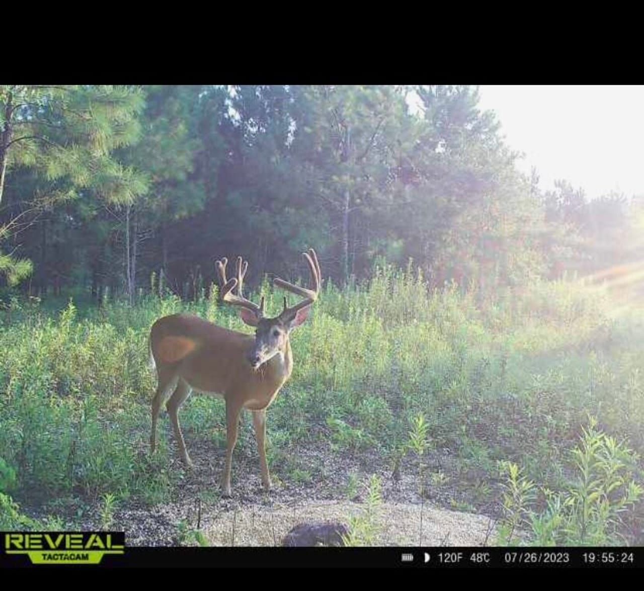 Edison Highway, Coleman, GA 39836 | Land and Farm