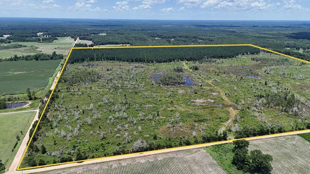 213.7 acres in Oakfield, GA, 31772 | Land and Farm