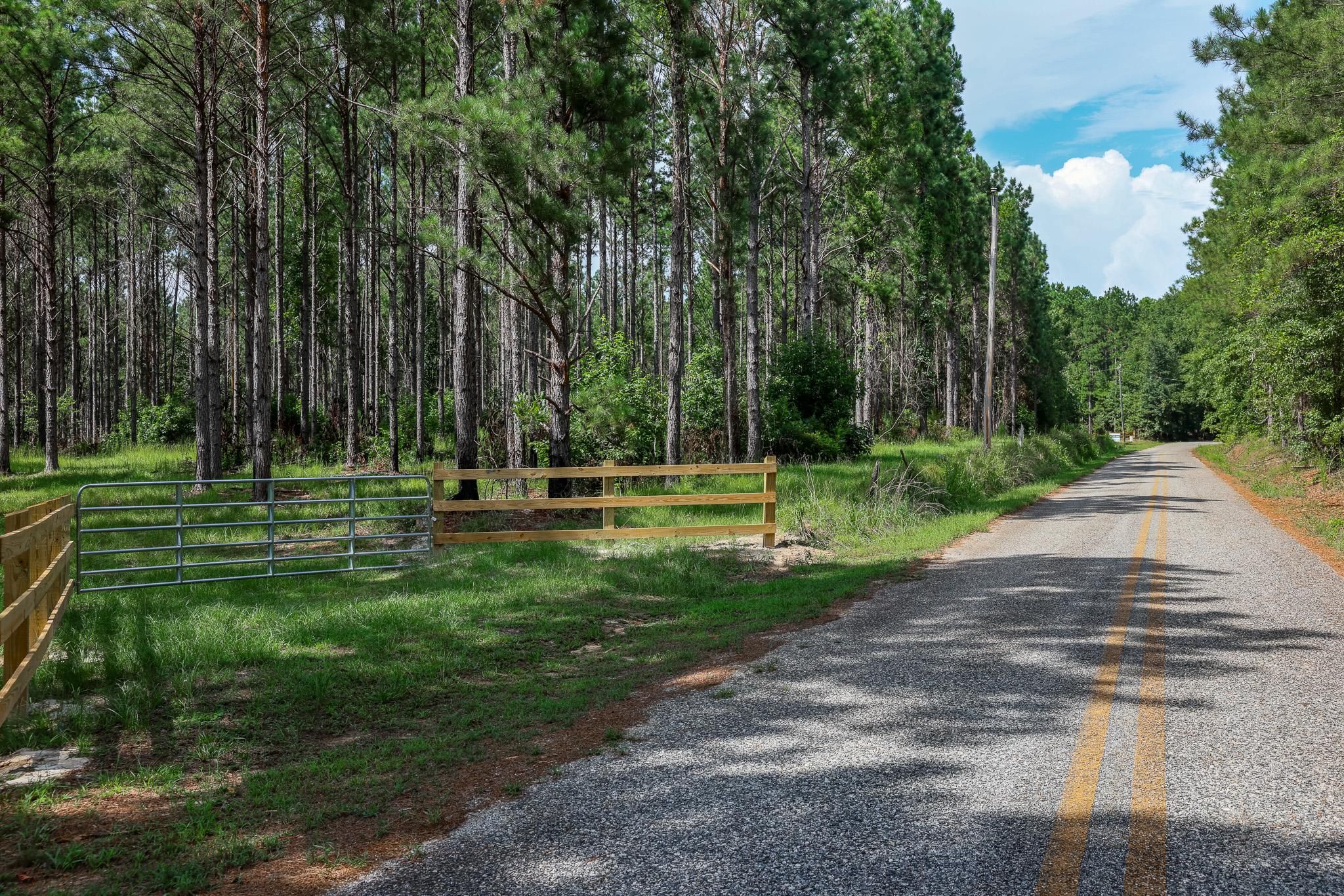 Moores Store Rd, Cusseta, GA 31805 | Land and Farm