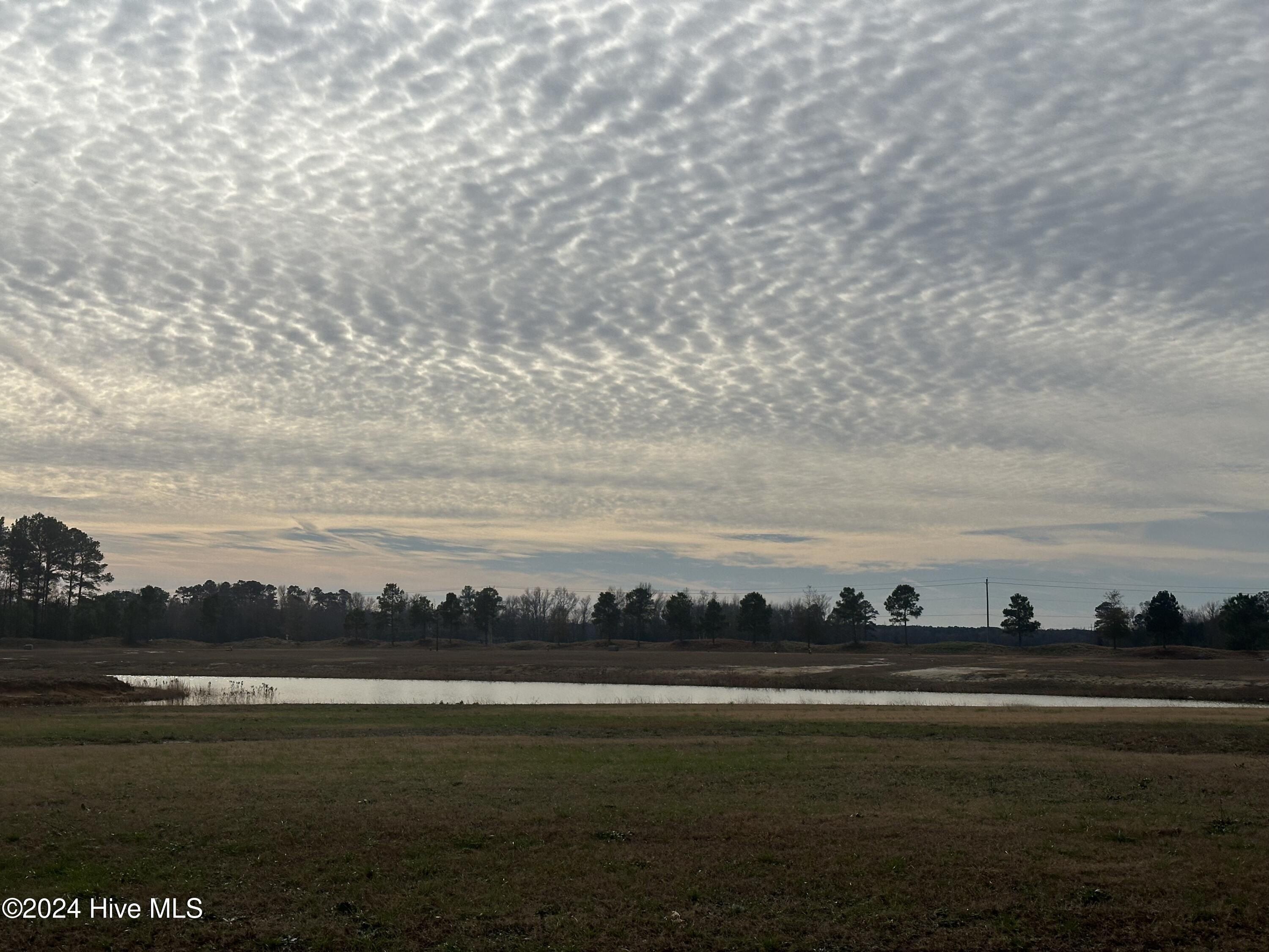 37 Pine Tree Point, Snow Hill, NC 28580 | MLS: 100521685 | Land and Farm