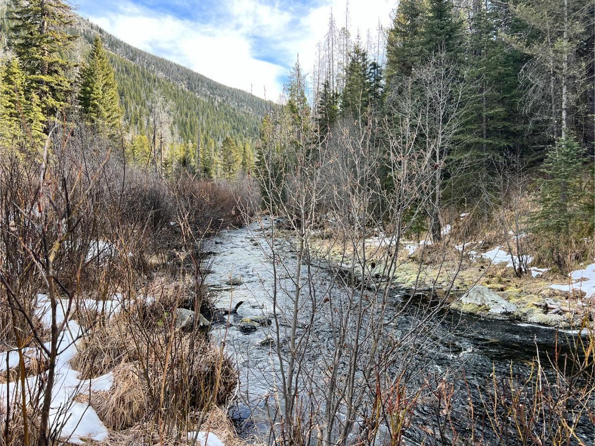 1.8 acres in Anaconda, MT, 59711 | Land and Farm