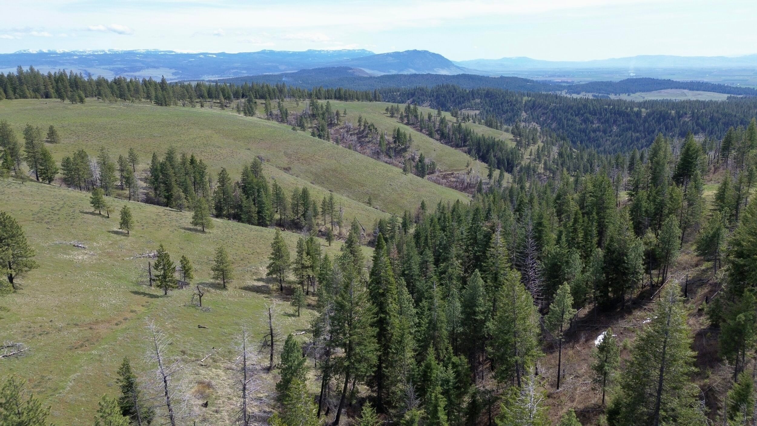 TBD Highway 204, Elgin, OR 97827 | Land and Farm