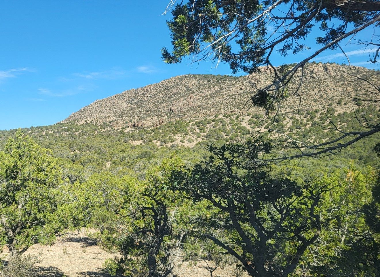 Parcel 49 Marvel Way Westwood Ranch, Bishop Place, AZ 86320 | Land and Farm