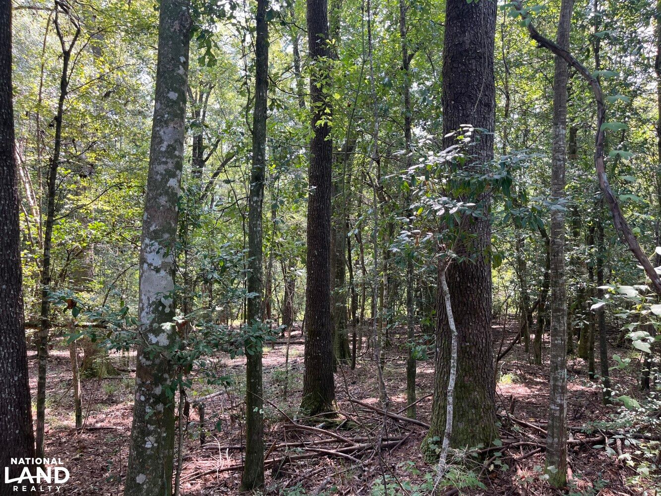 0 Cedar Creek Road, Lucedale, MS 39452 | Land and Farm
