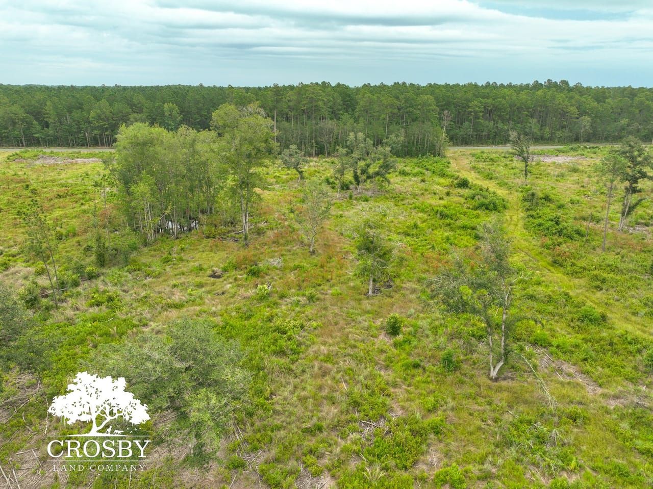 0 Tyler Road, Walterboro, SC 29488 | Land and Farm