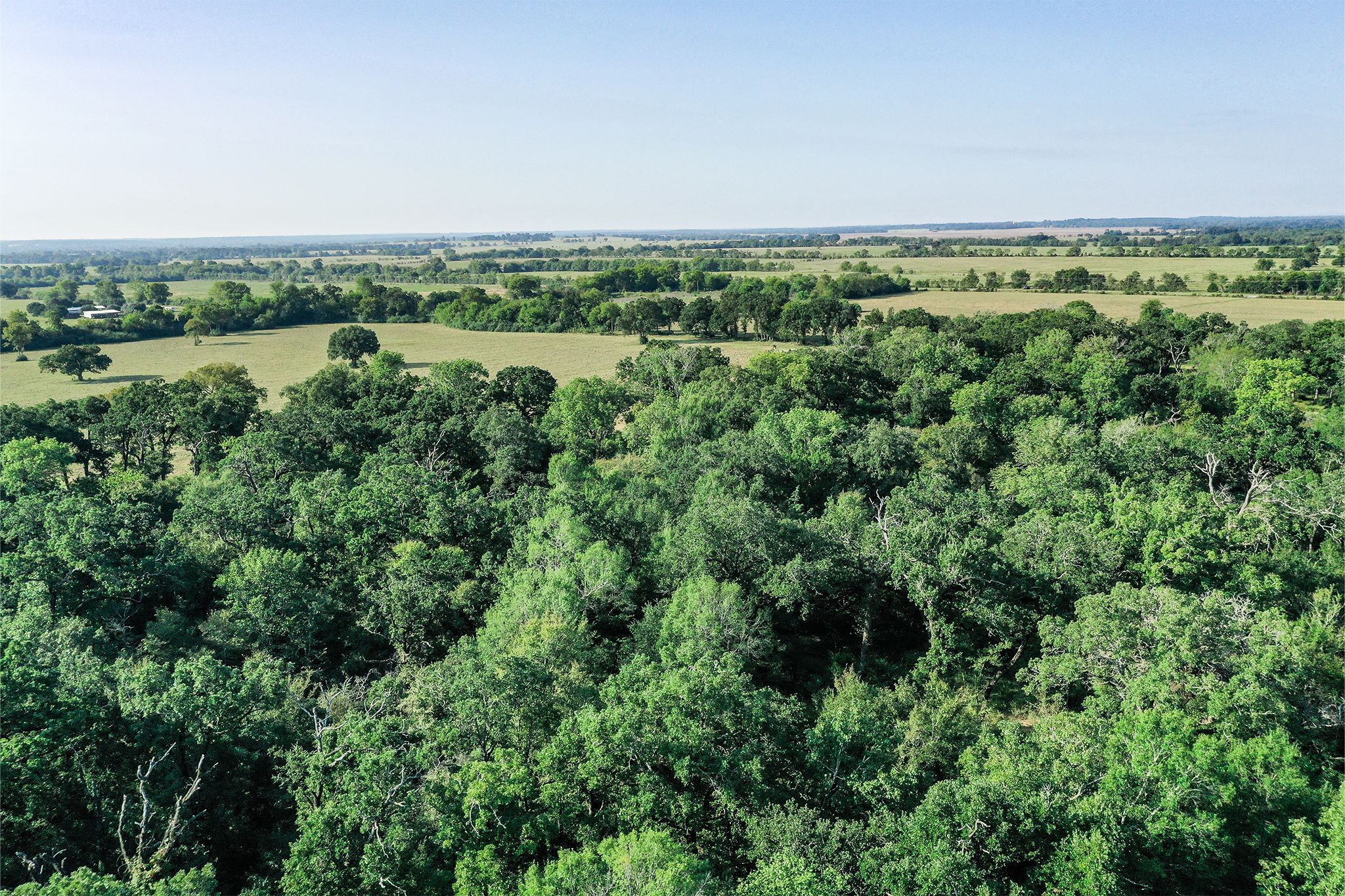 60 Acres FM 2967, Porter Springs, TX 75835 | MLS: 53056489 | Land and Farm