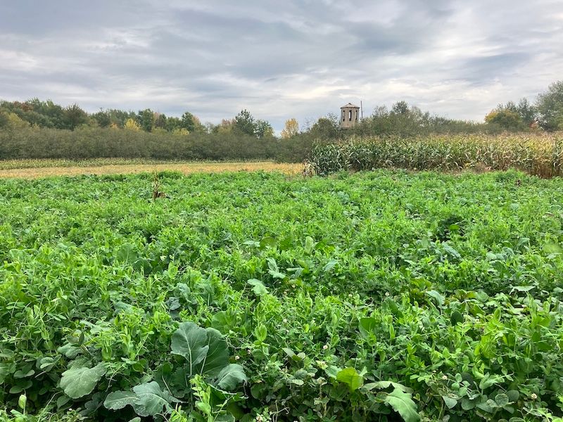 N189 Clark Dr, Withee, WI 54498 | Land and Farm