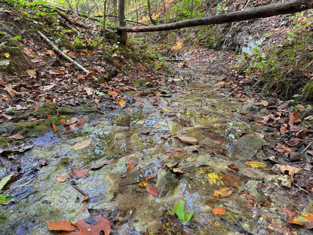 Fawn Drive, Harriet, AR 72639 | Land and Farm