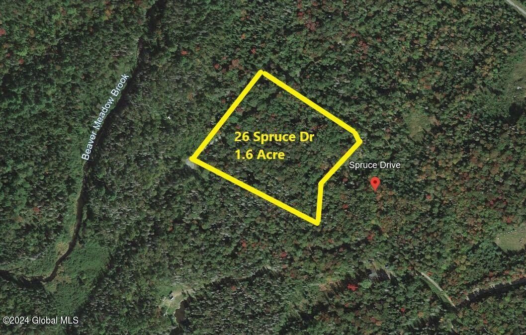 26 Spruce Drive, Indian Lake, NY 12842 | MLS: 202525157 | Land and Farm