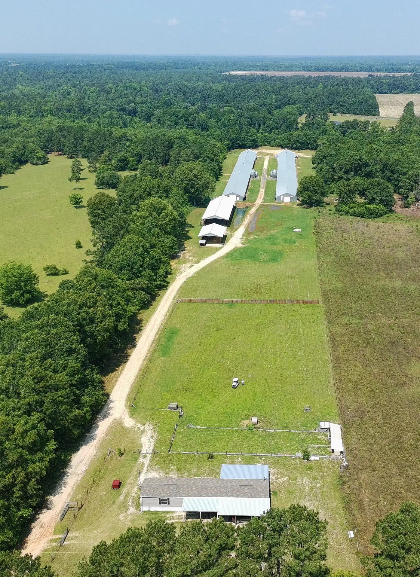 2121 Whitetail Road, Blackville, SC 29817 | Land and Farm
