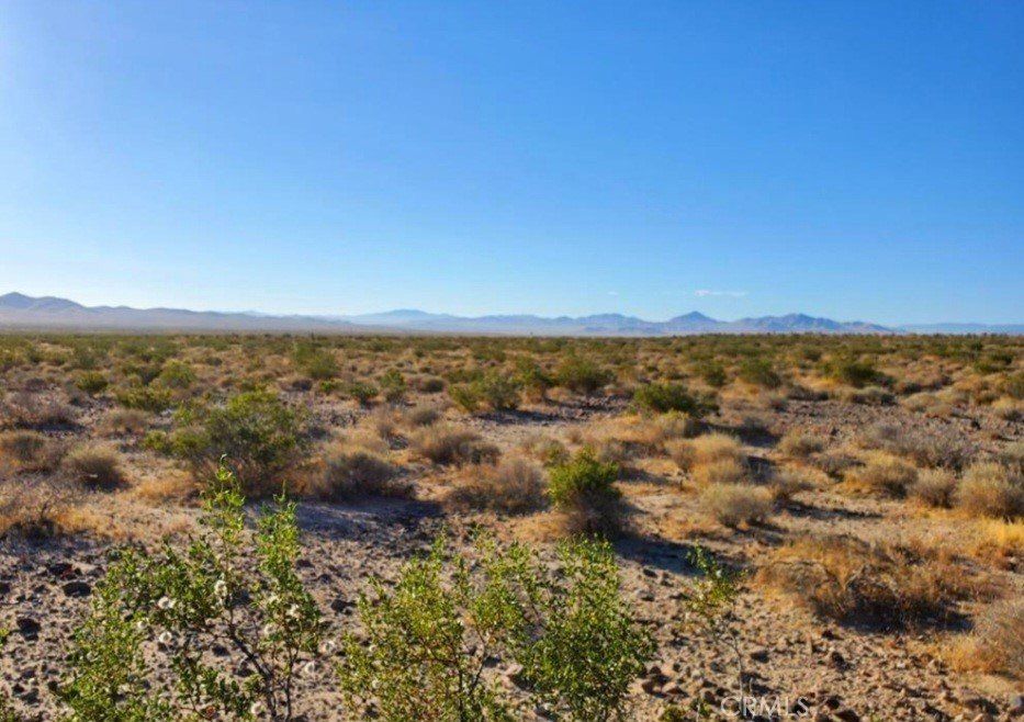 0 Helendale Road, Helendale, CA 92342 | MLS: HD25232460 | Land and Farm