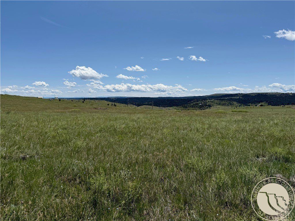 Coyote Pass lot: 215, Reed Point, MT 59069 | MLS: 353782 | Land and Farm