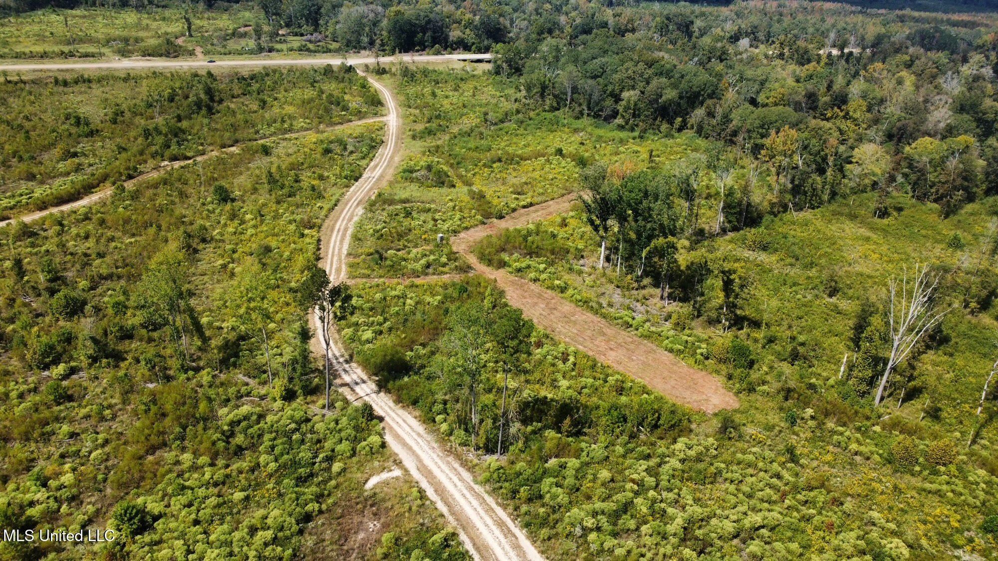 1 Highway 35, Forest, MS 39074 | MLS: 4127916 | Land and Farm