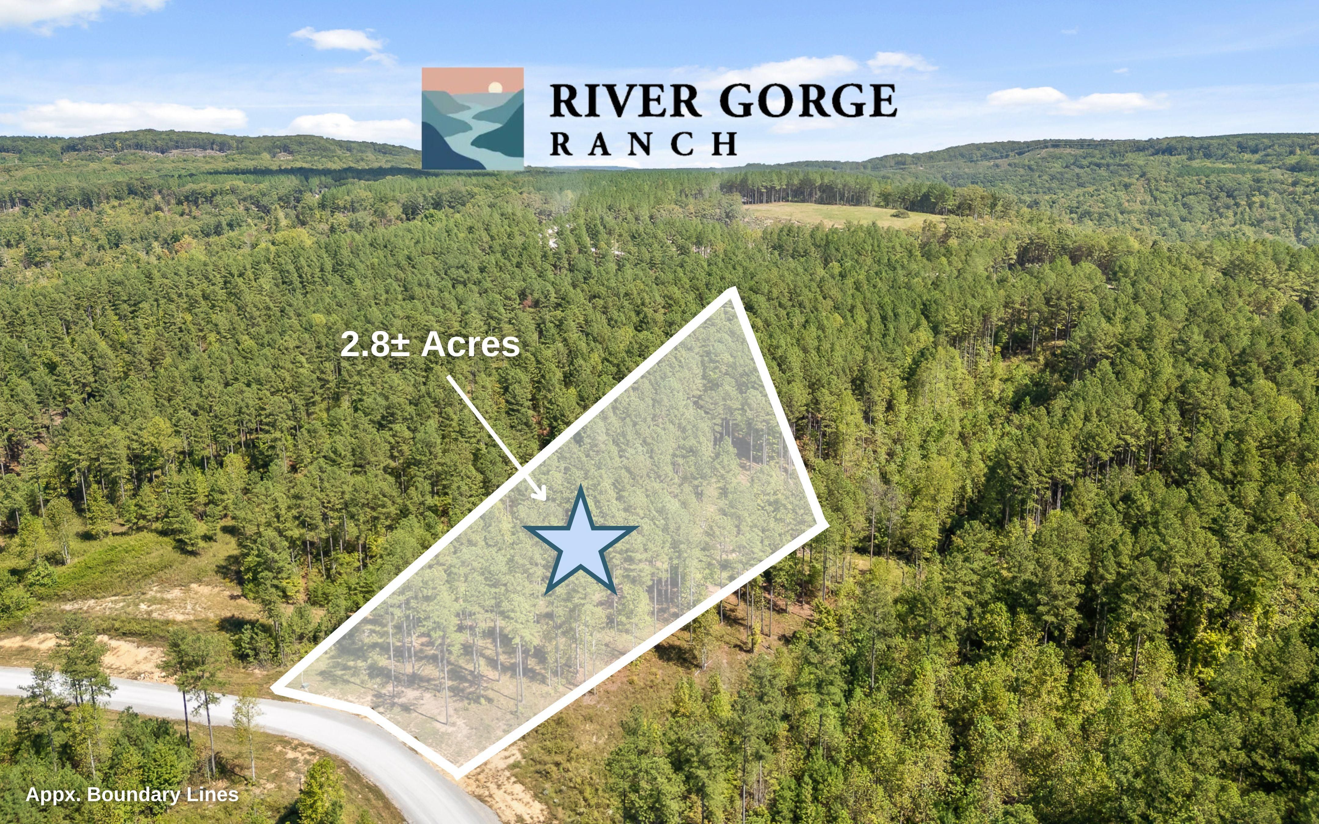Lot 1098 Birds Eye Way, Guild, TN 37340 | MLS: 1521810 | Land and Farm