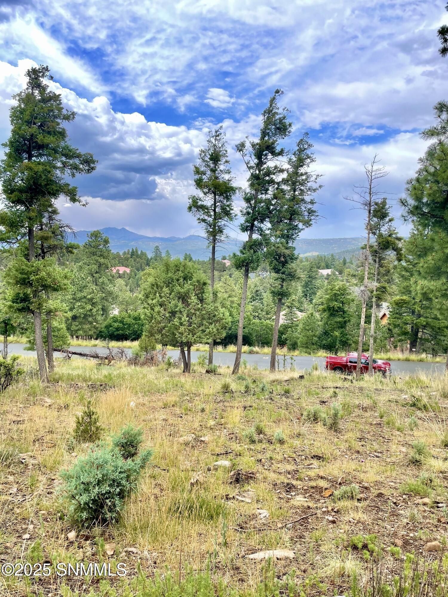 229 CUMMINGS Drive, Ruidoso, NM 88345 | MLS: 2500154 | Land and Farm