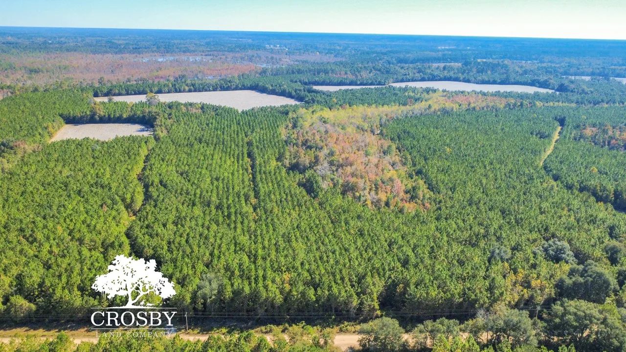 787 Woodyard Rd, Brooklet, GA 30415 | Land and Farm