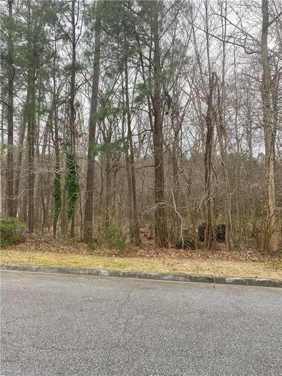 55+ac Taylor Farm, Virginia Beach, VA 23456 | MLS: 10519423 | Land and Farm