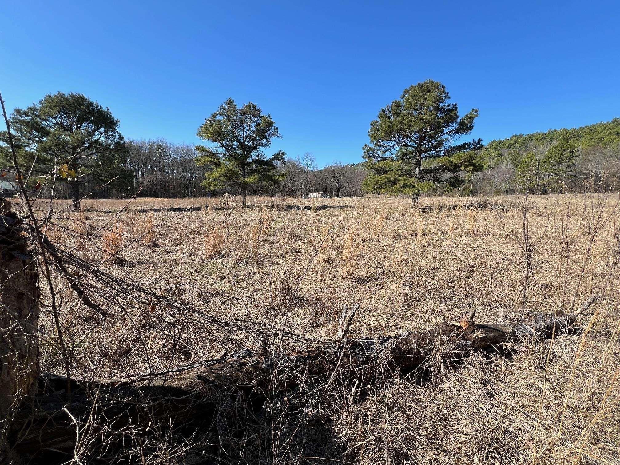 00 Mary Ln, Casa, AR 72025 | MLS: 25022533 | Land and Farm