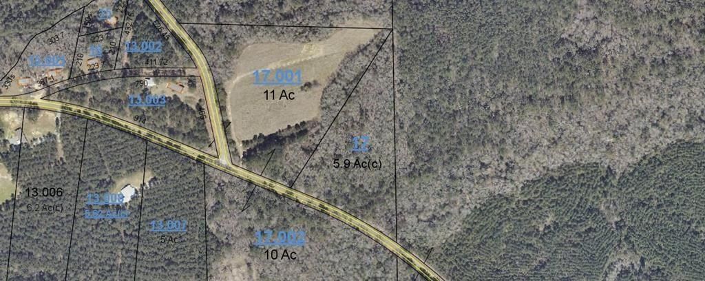 5.9 +/- Acres County Road 321, Elba, AL 36323 | MLS: 207467 | Land and Farm