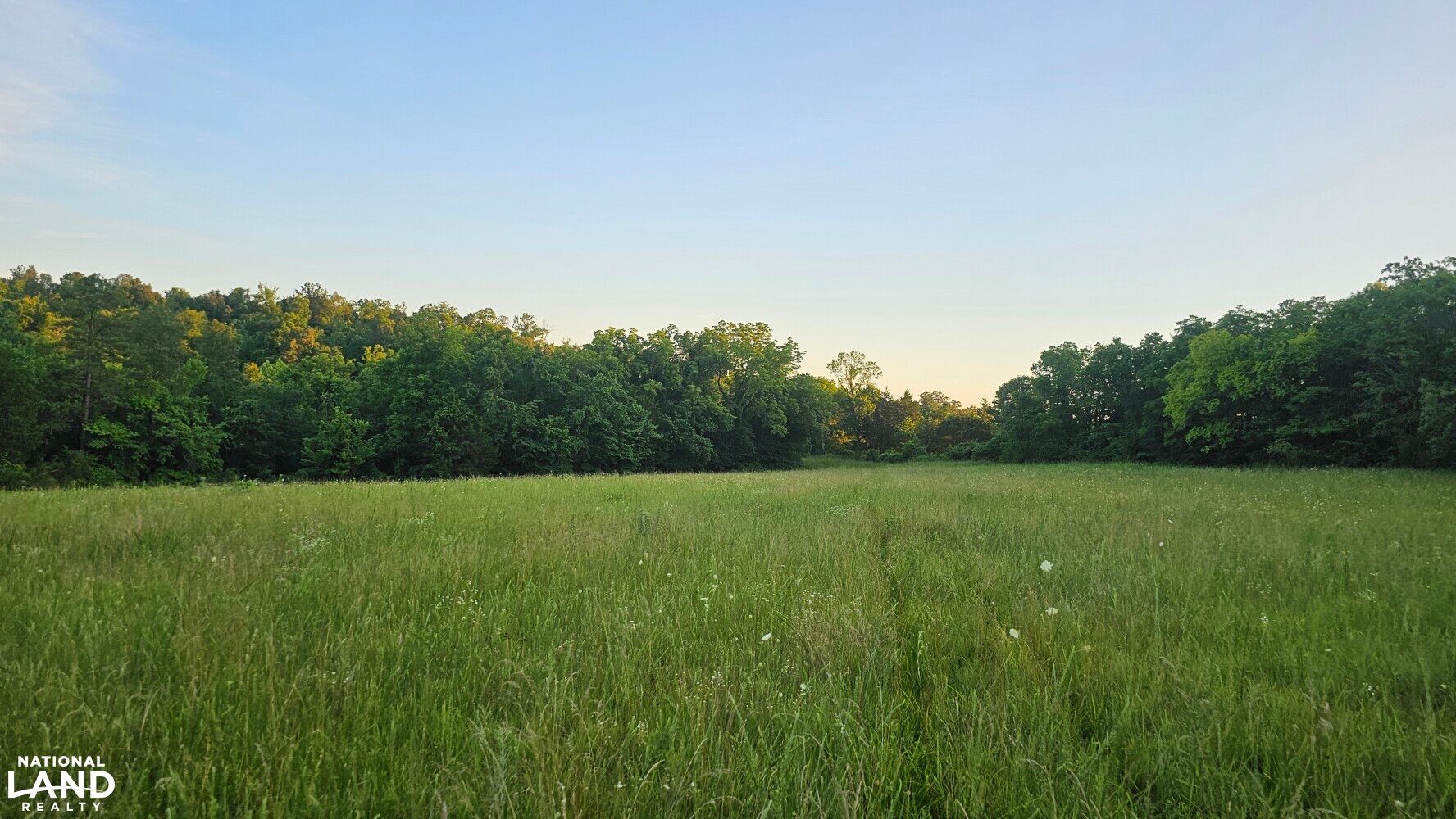 004 Tomahawk Slab Road, Saint Joe, AR 72675 | Land and Farm