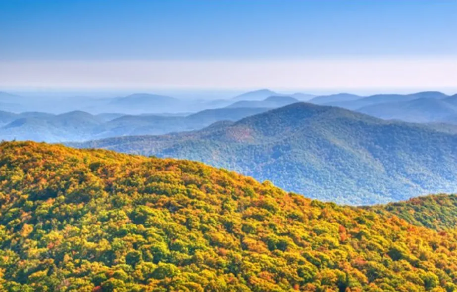 Land for Sale in Blue Ridge, GA, Blue Ridge, GA Land for Sale, Land for ...