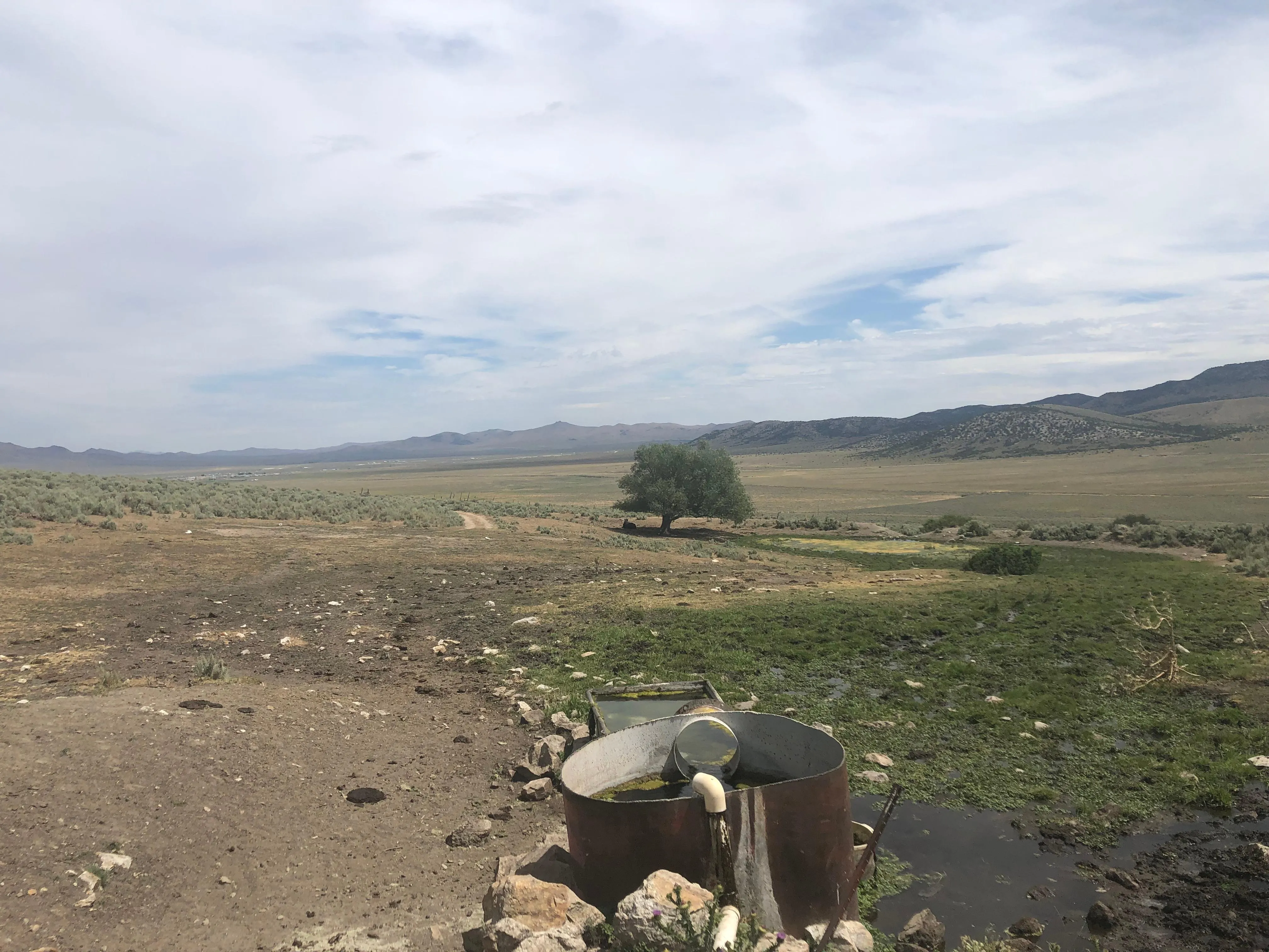 Nevada Ranches for Sale - 38 Listings | Land And Farm