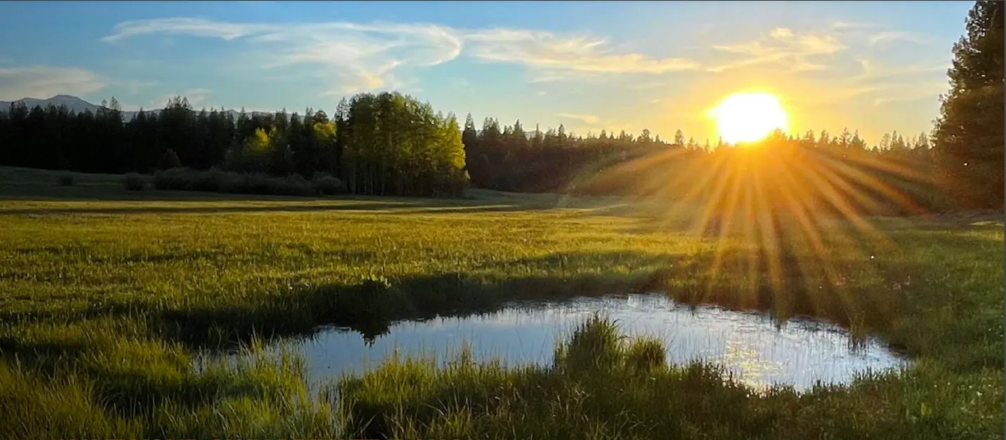 Hunting Land for Sale in Idaho, Idaho Hunting Land for Sale, Hunting ...