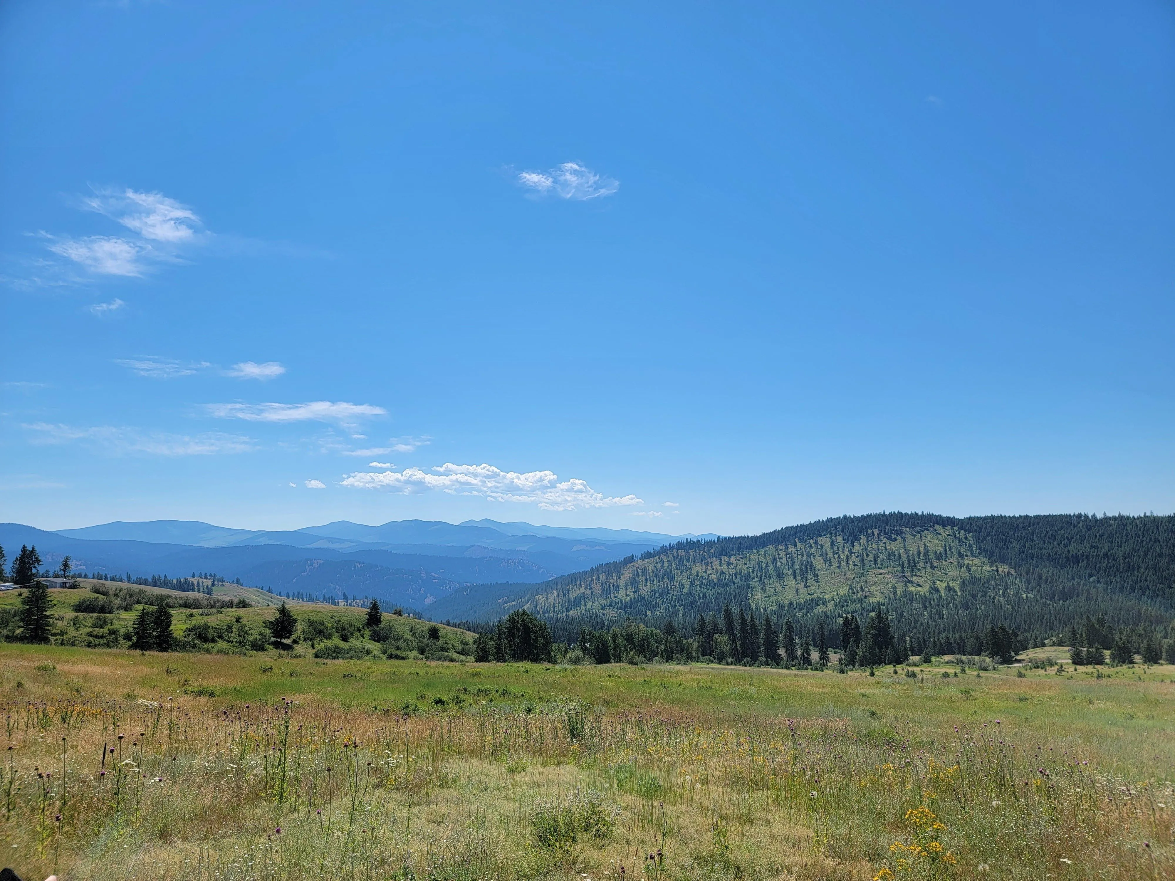 Washington Land for Sale between 11 and 50 Acres - 752 Listings | Land ...
