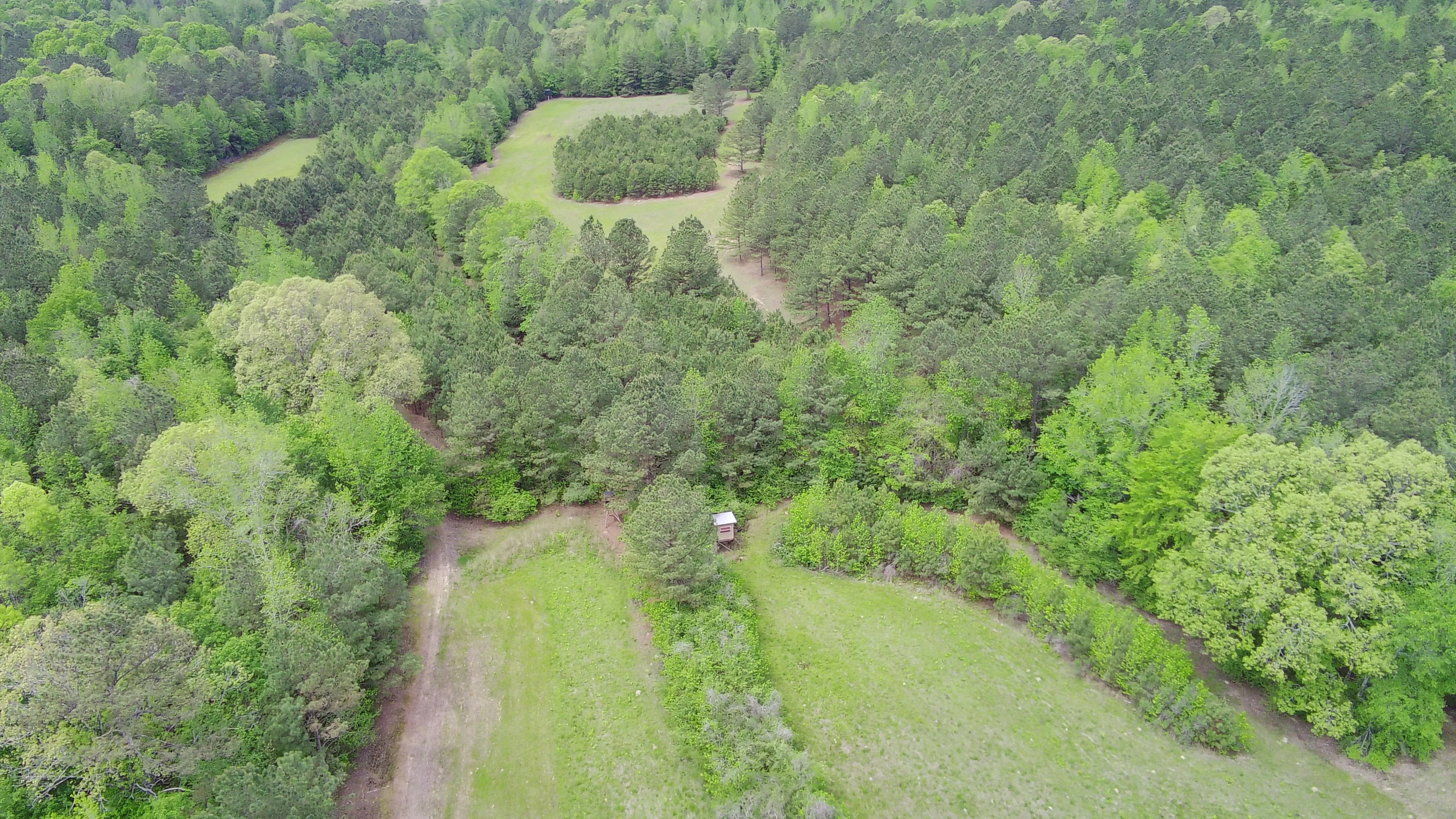 Hunting Land for Sale in Alabama, Alabama Hunting Land for Sale ...