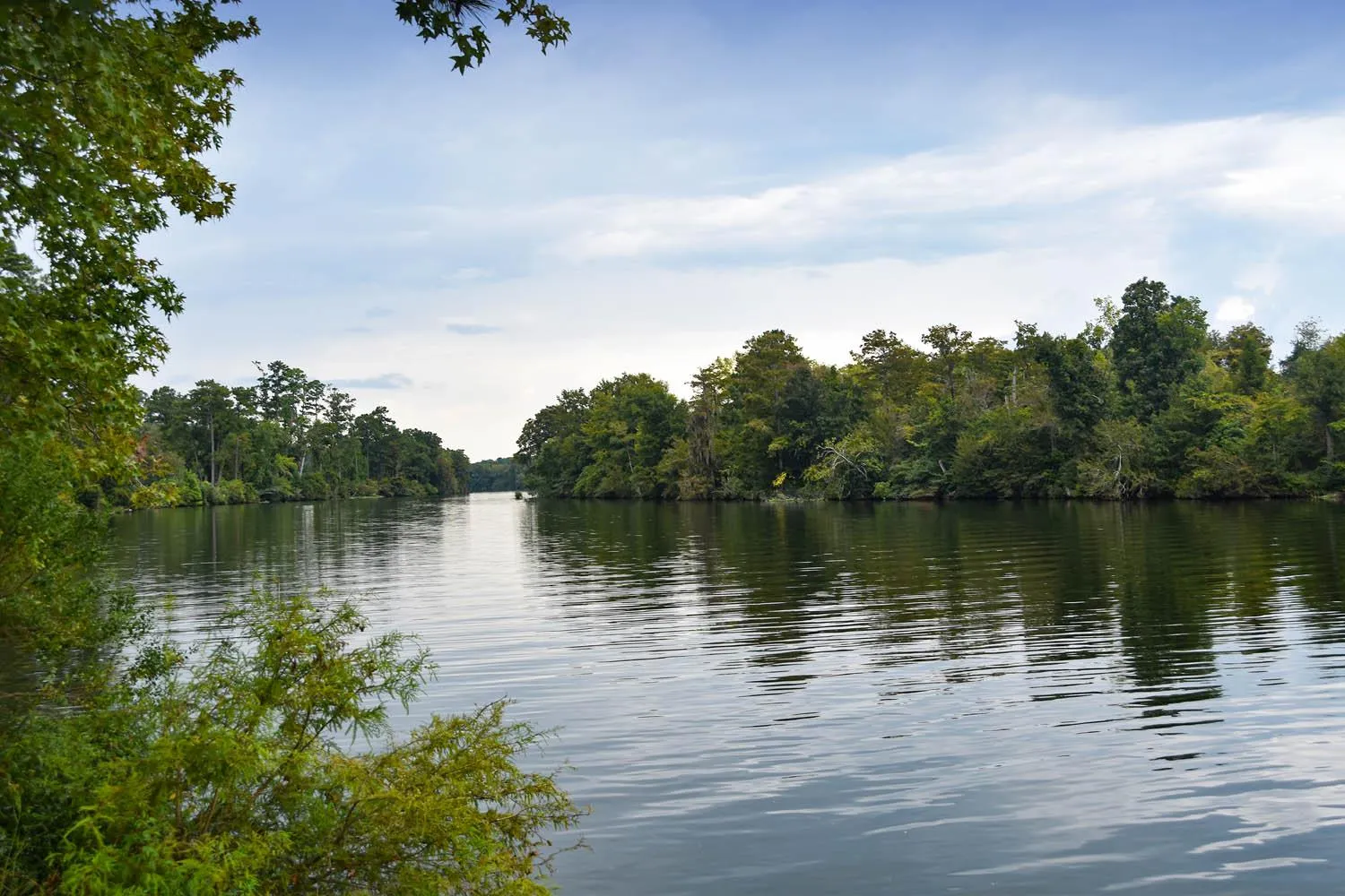 Hunting Land for Sale in Georgia, Georgia Hunting Land for Sale ...