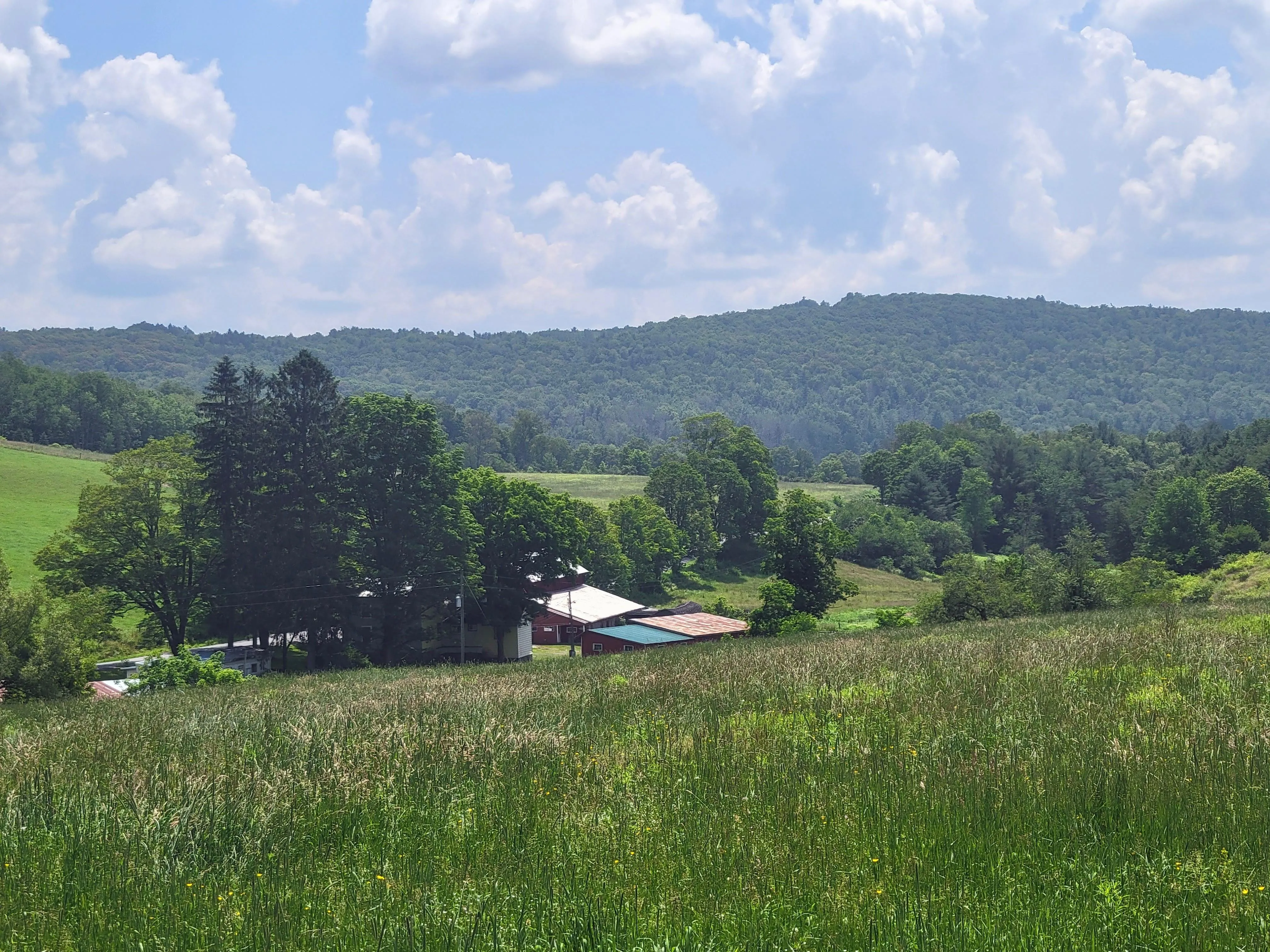 New York Farm Land for Sale - 299 Listings | Land And Farm
