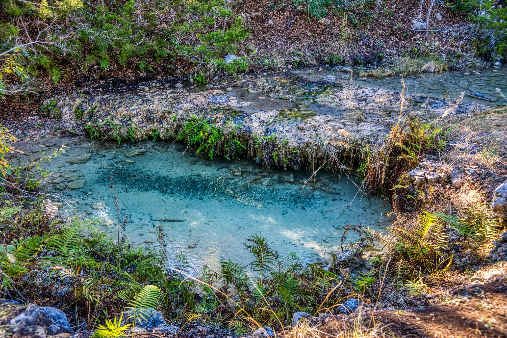 Land for Sale in Texas, Texas Land for Sale, Land for Sale Near Me in ...