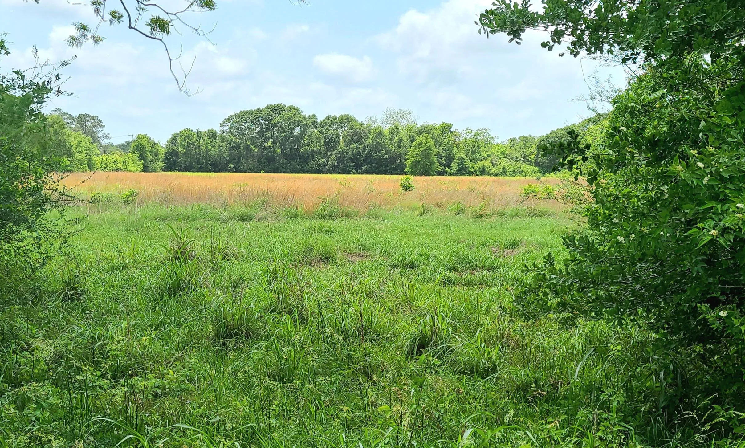 Land for Sale in Brazoria County, TX, Brazoria County, TX Land for Sale ...