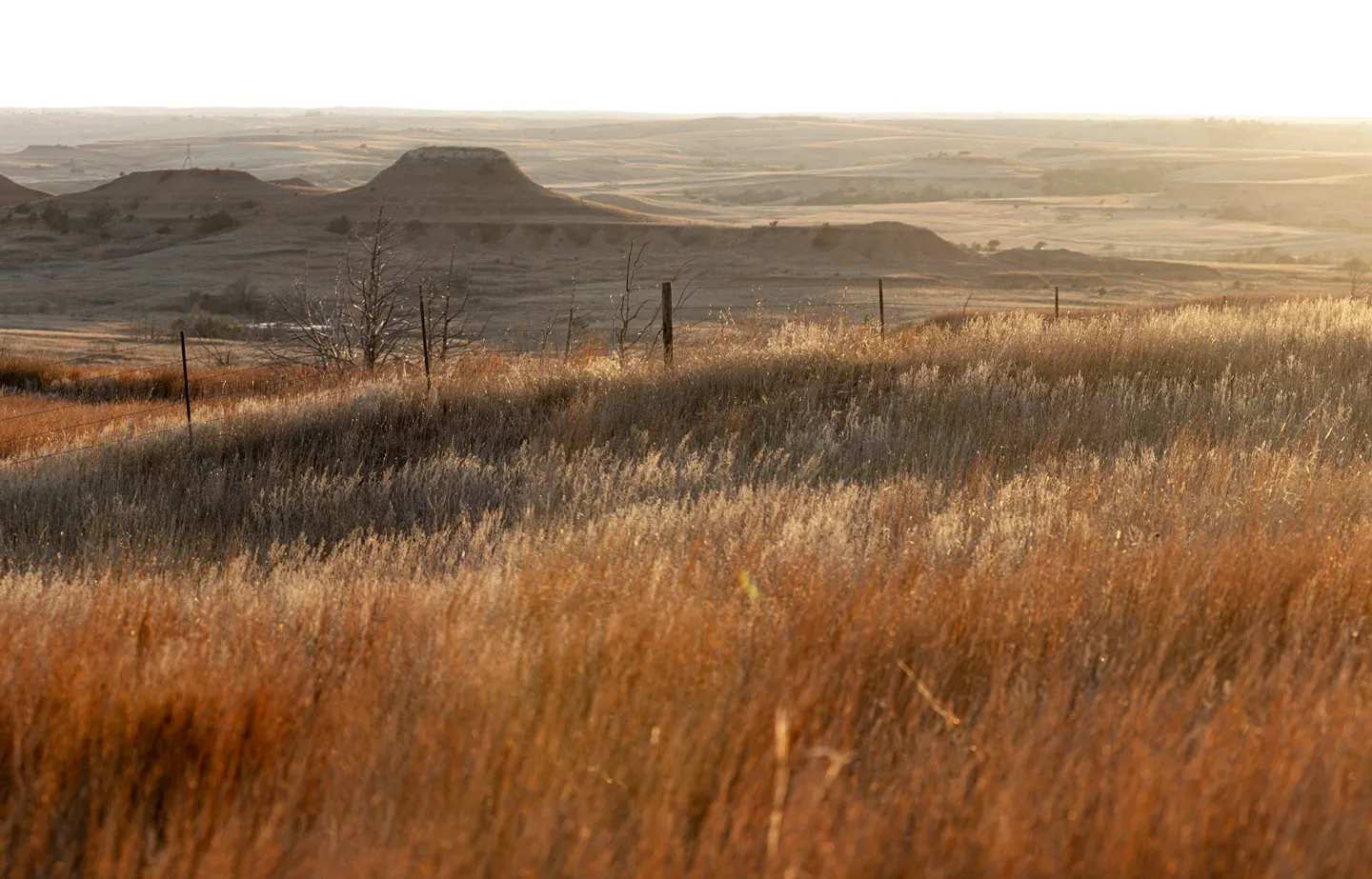 Kansas Land for Sale - 31 Listings | Land And Farm