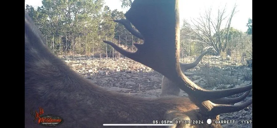 Edwards Plateau West Region, TX Ranches for Sale - 377 Listings | Land ...