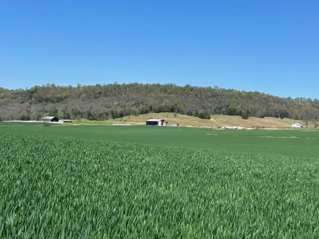 South Central Region, KY Undeveloped Land for Sale - 423 Listings ...