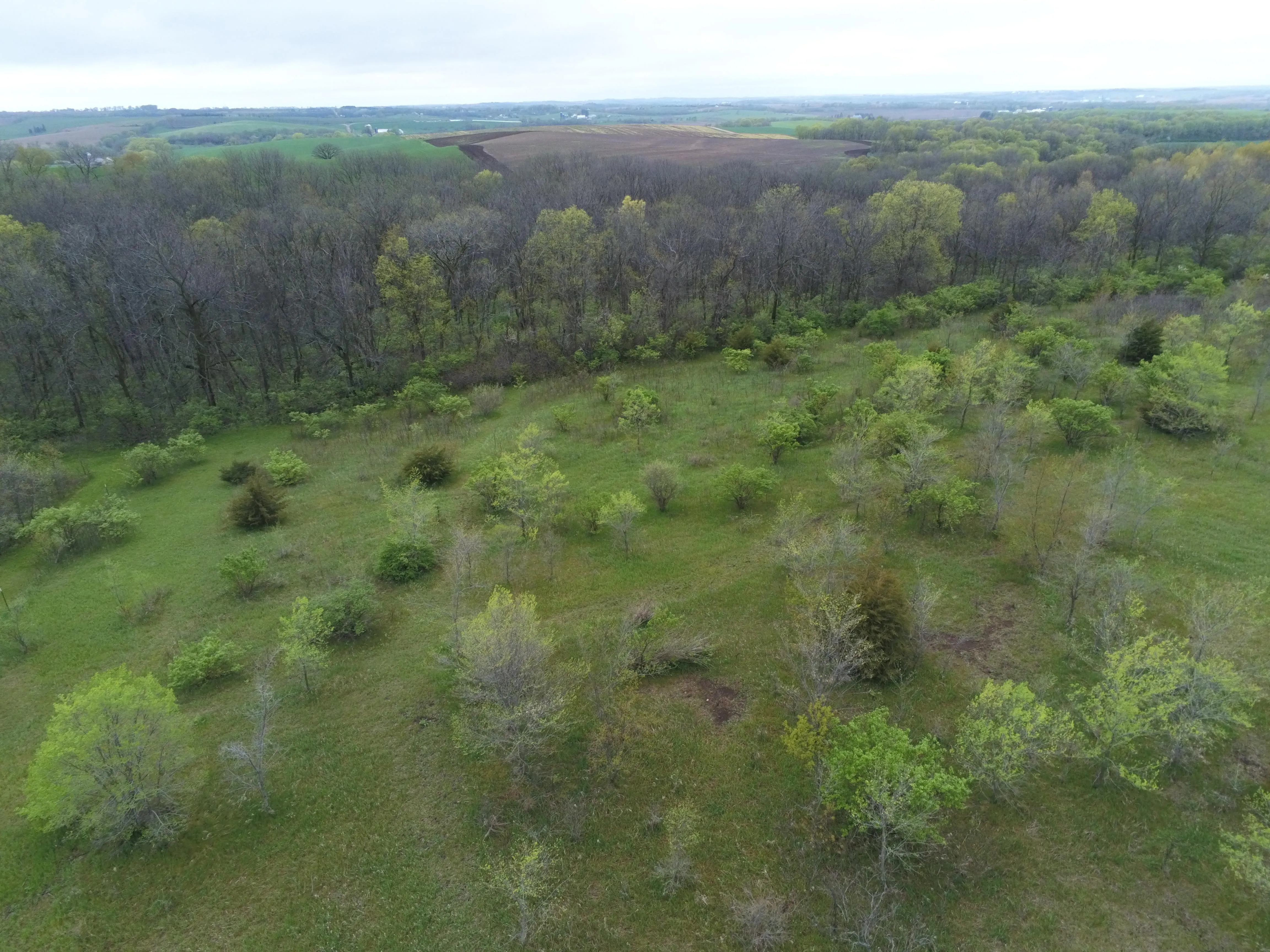 Southwest Region, WI Hunting Land for Sale - 74 Listings | Land And Farm