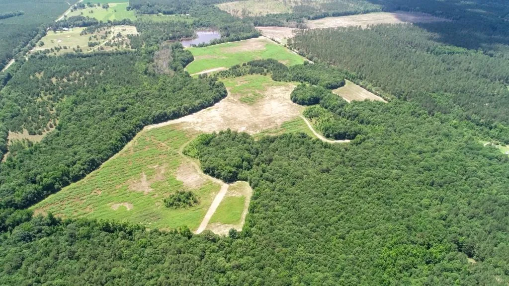 Georgia Land for Sale: Farms, Ranches, Hunting Property in Georgia ...