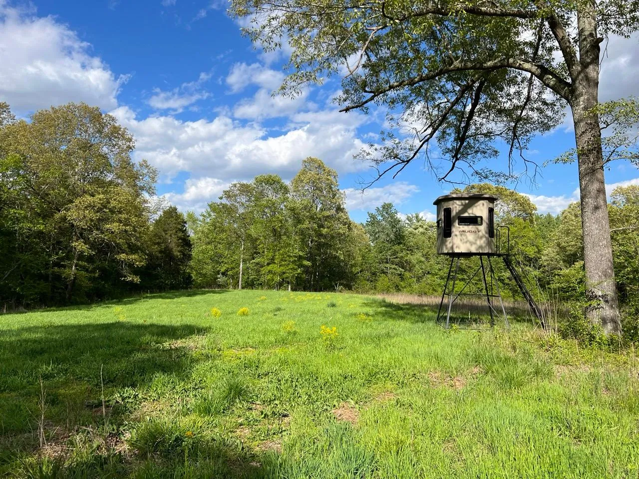 Illinois Land for Sale: Farms, Ranches, Hunting Property in Illinois ...