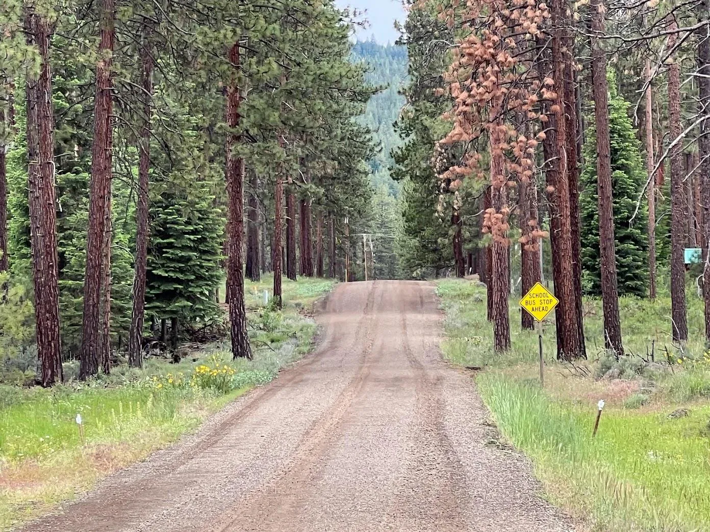 Undeveloped Land for Sale, Inactive Properties - 466,549 Listings ...