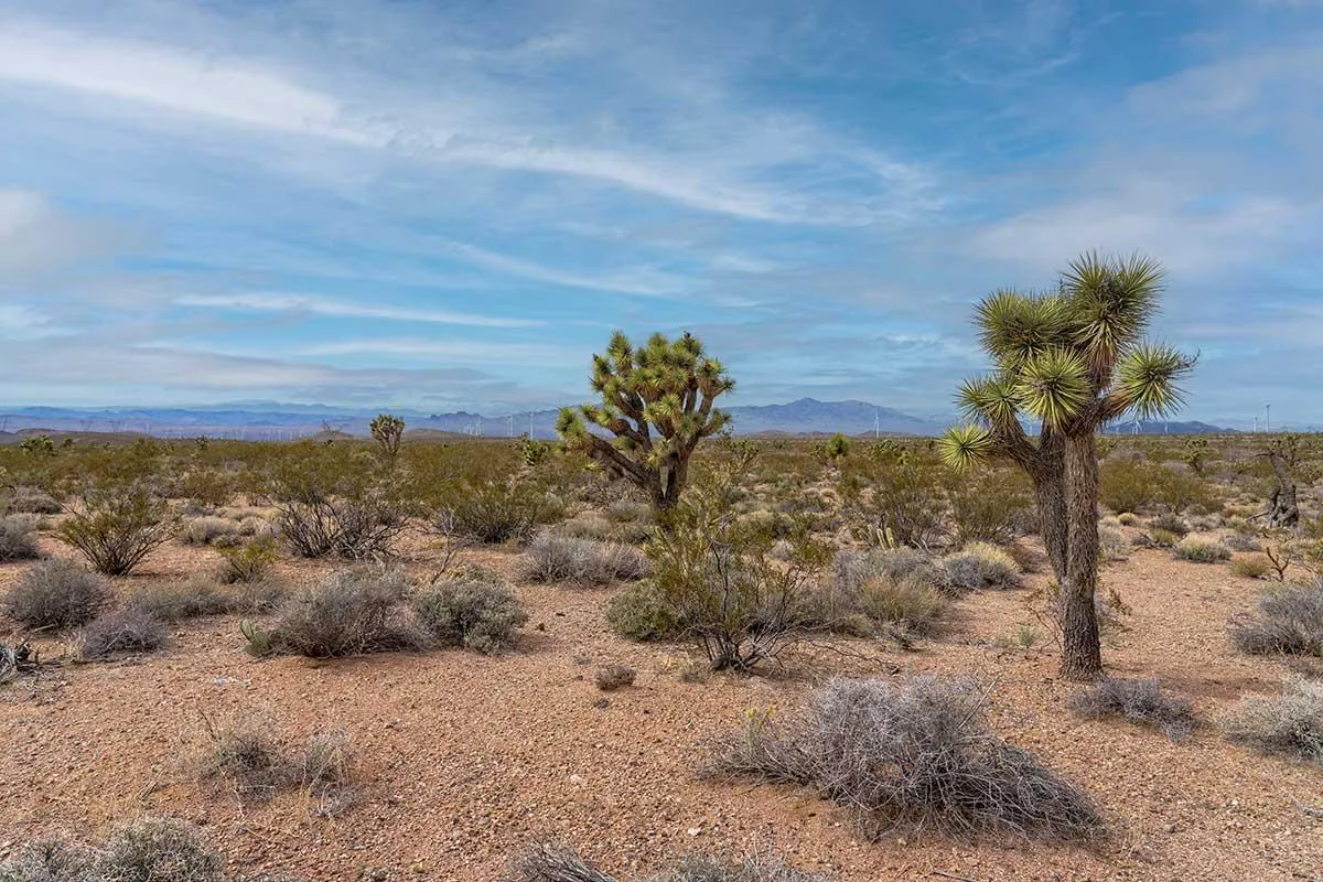 Arizona Land for Sale: Farms, Ranches, Hunting Property in Arizona ...